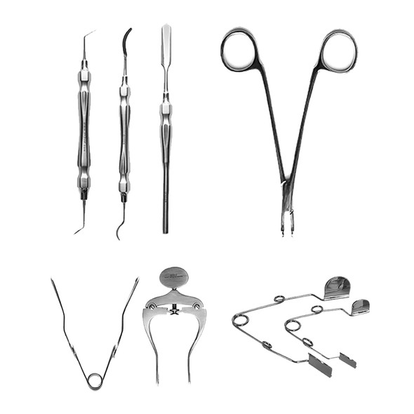 Rabbit Soft Tissue Protector & Diamond Bur Kit