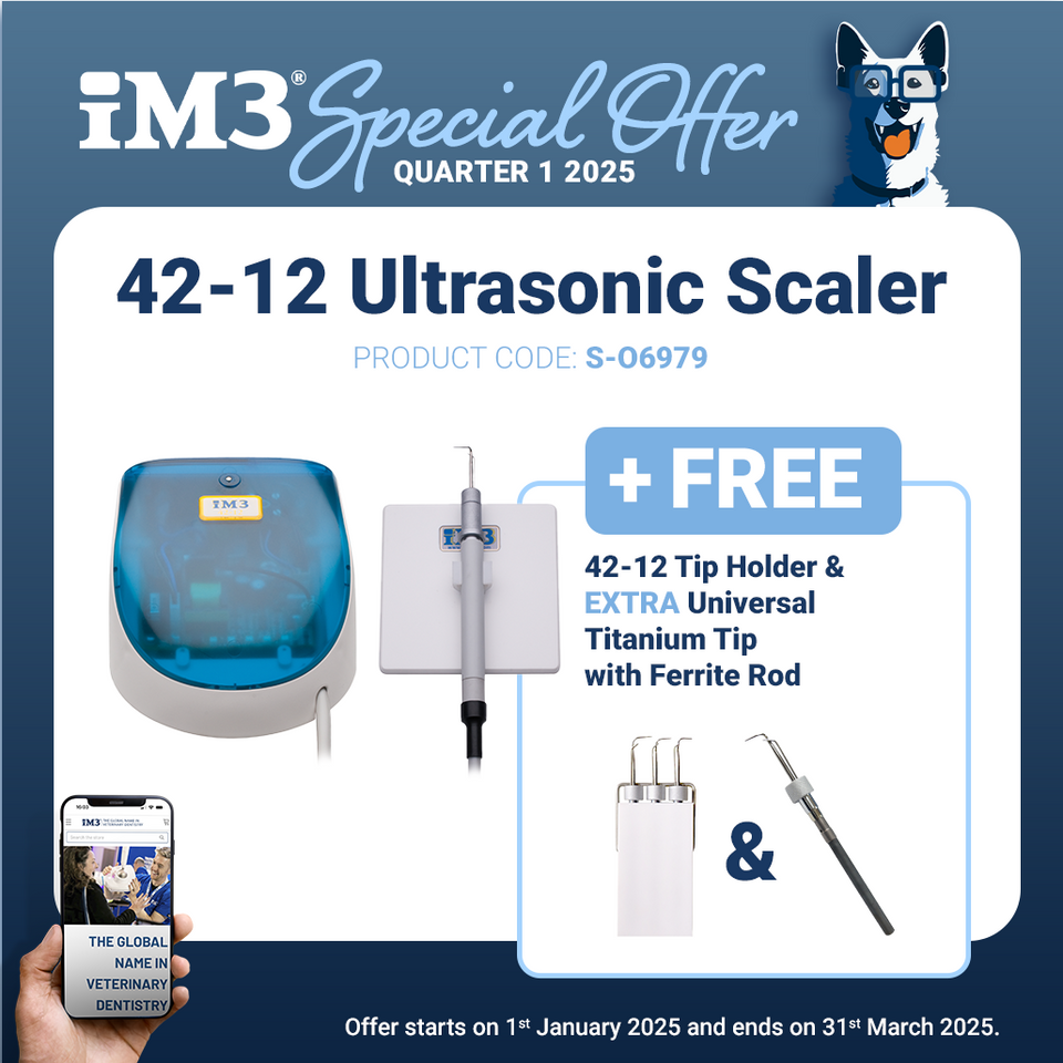 iM3 P6 LED Piezo Ultrasonic Scaler