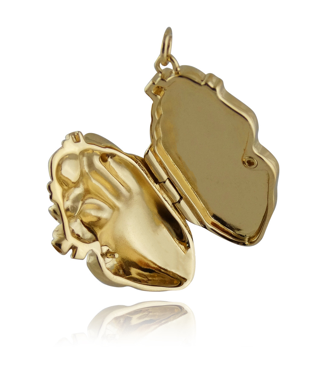 Anatomical Heart Locket Necklace in Sterling Silver with Gold Plate ...