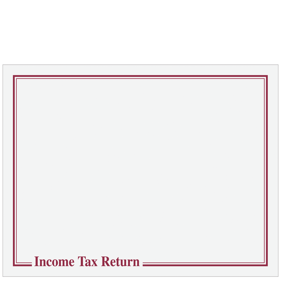 CLNT9E10 - Tax Return Mailing Envelope - Greatland.com