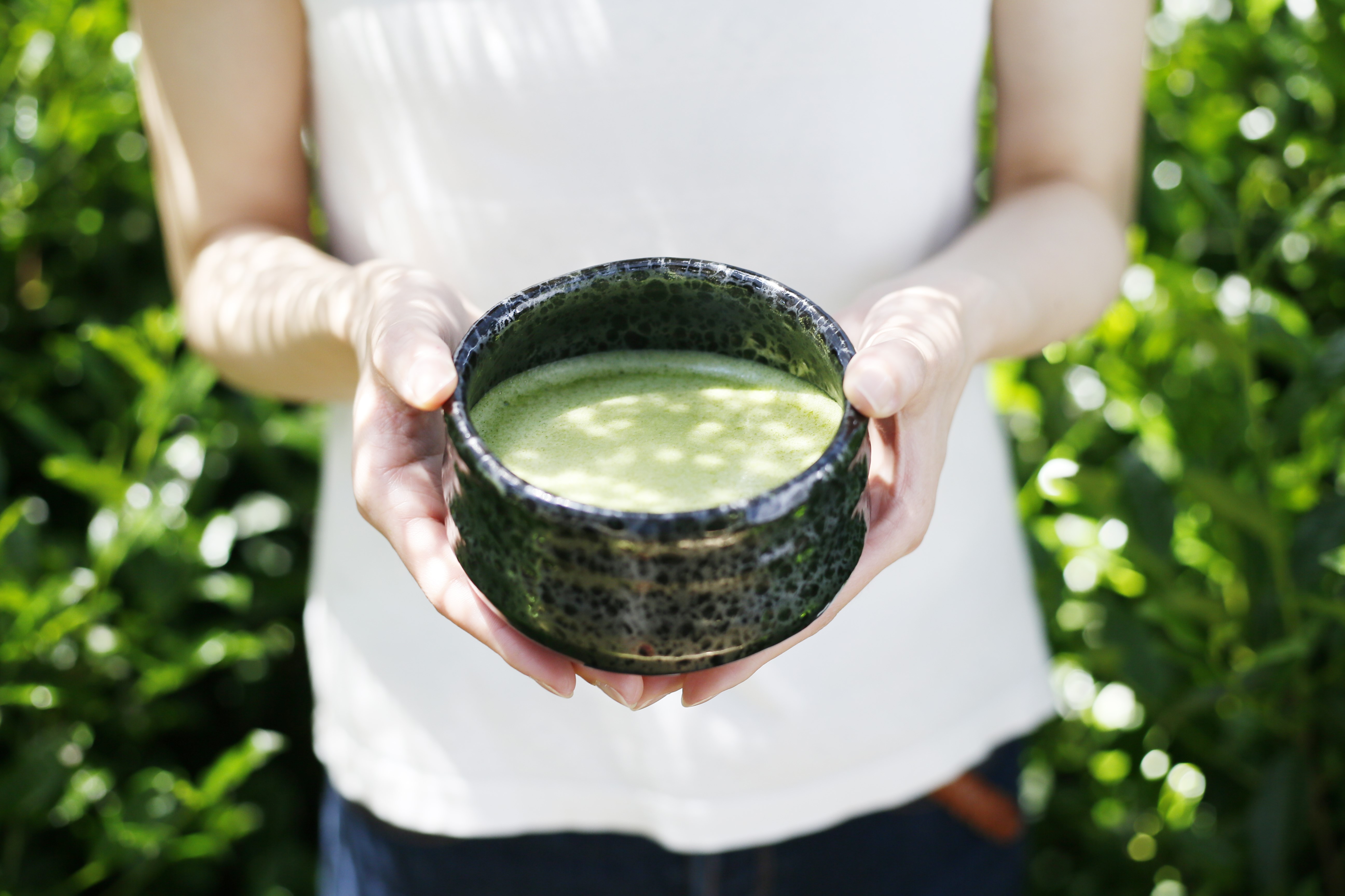 Four Reasons You Should Start Drinking Matcha Today - AIYA Matcha
