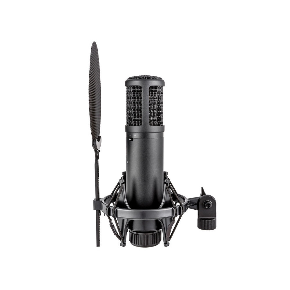 SE ELECTRONICS SE2200 Classic Condenser Studio Mic with Shockmount and ...