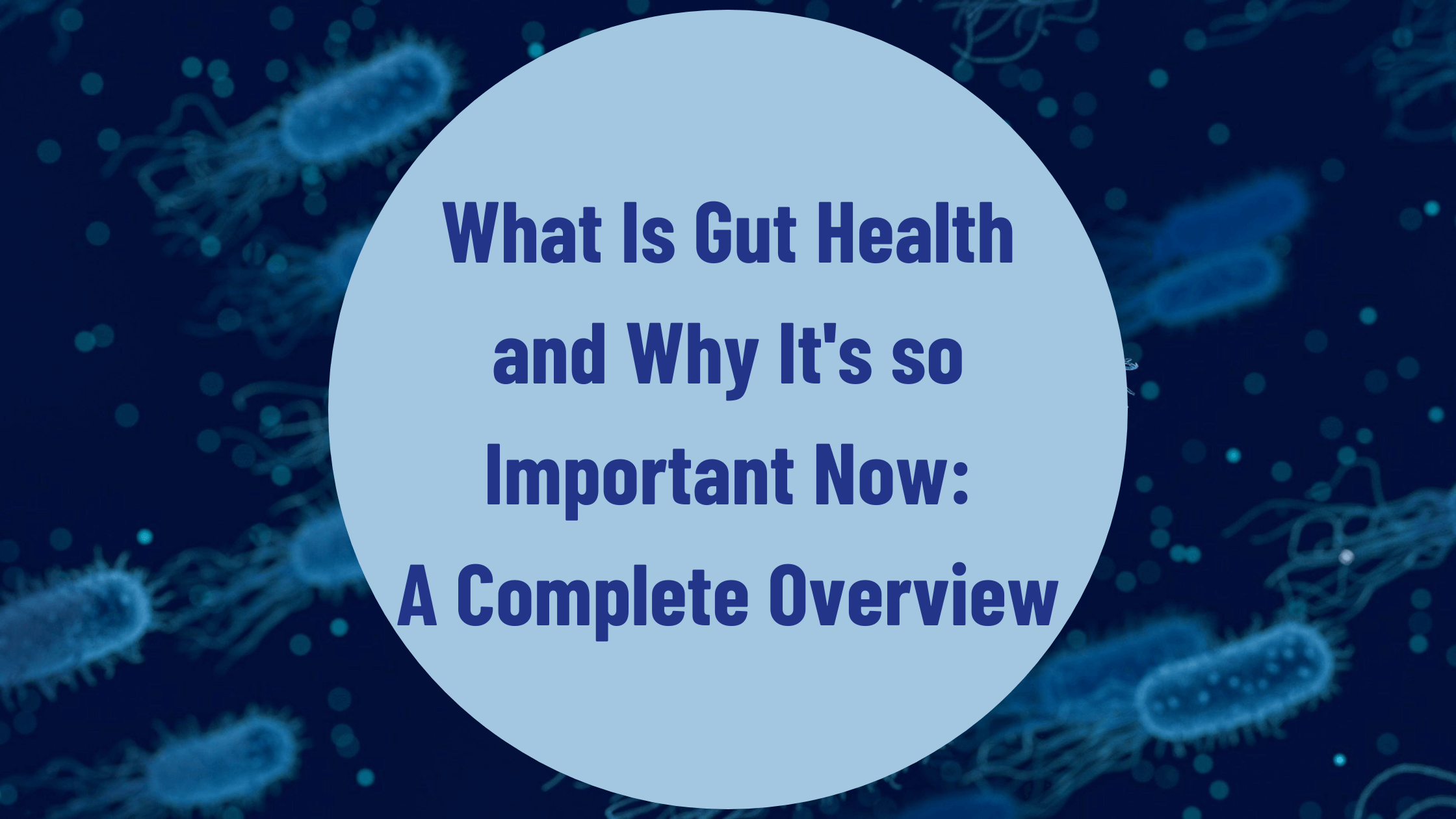 What Is Gut Health and Why It's so Important Now: A Complete Overview ...