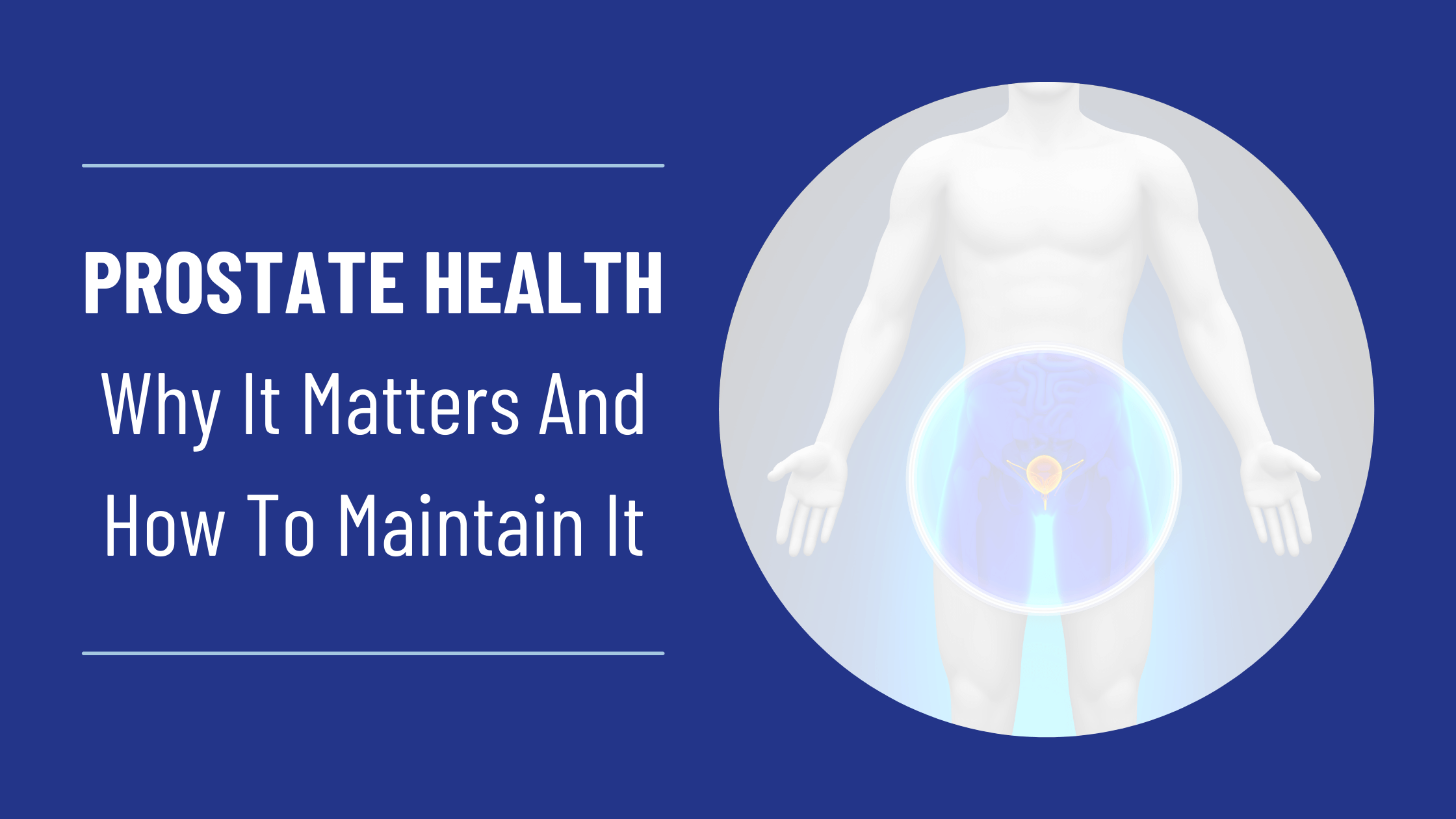 Prostate Health - Why It Matters And How To Maintain It - Silver ...