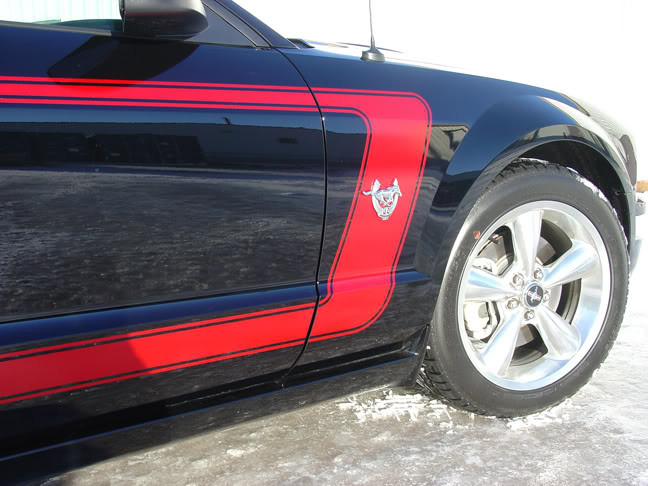Ford Mustang Graphics | Vinyl Graphic Kit
