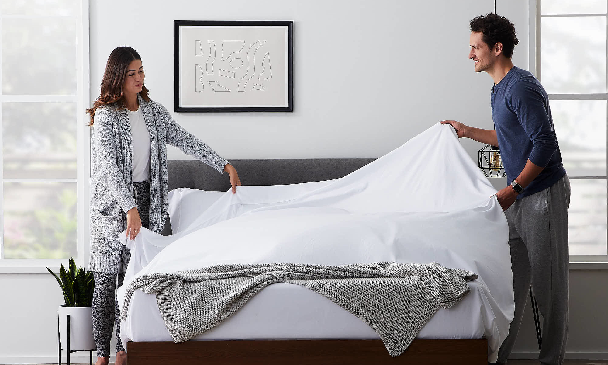 Spring Cleaning Tips - Lucid