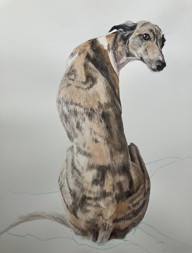 Long Lad - Mall Galleries - Buy Art