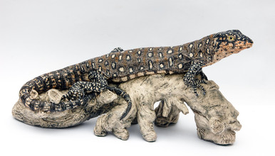 209 - Dwarf Tegu - Mall Galleries - Buy Art