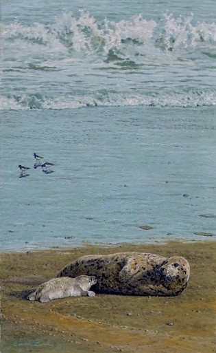 325 - Grey Seals - mother and pup - Mall Galleries - Buy Art