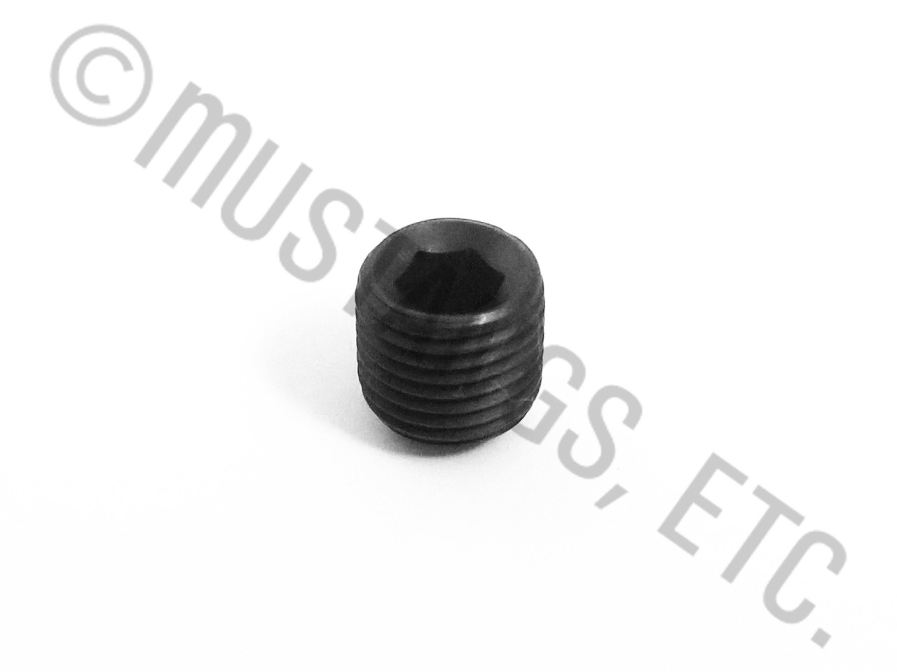 Cylinder Head Smog Plugs - V8