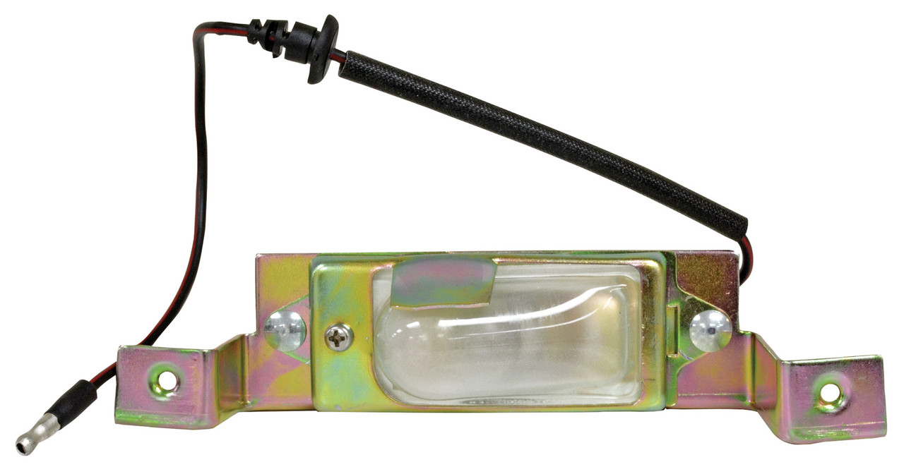 1965-1966 Mustang Lamp/License Plate - DII - Mustangs, Etc.