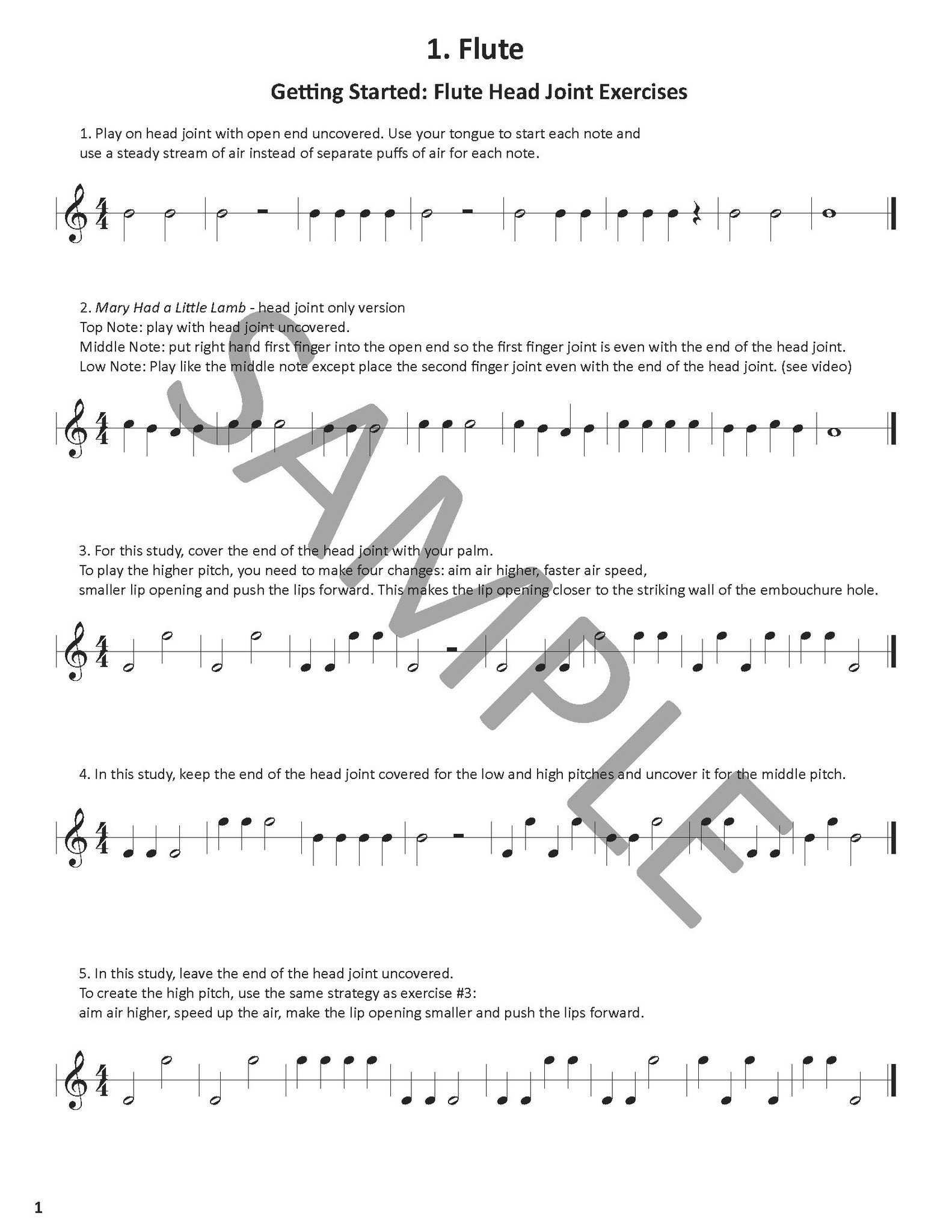 Teaching Woodwinds: A Guide for Students and Teachers