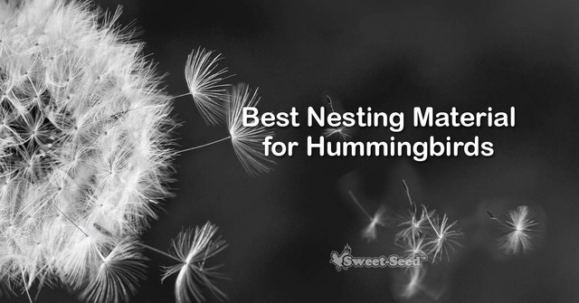 Best Nesting Material for Hummingbirds - Sweet-Seed Micro Batch Bird Feed