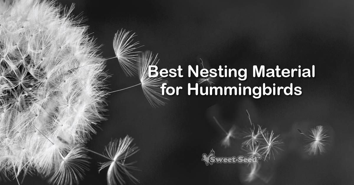 Best Nesting Material for Hummingbirds - Sweet-Seed Micro Batch Bird Feed