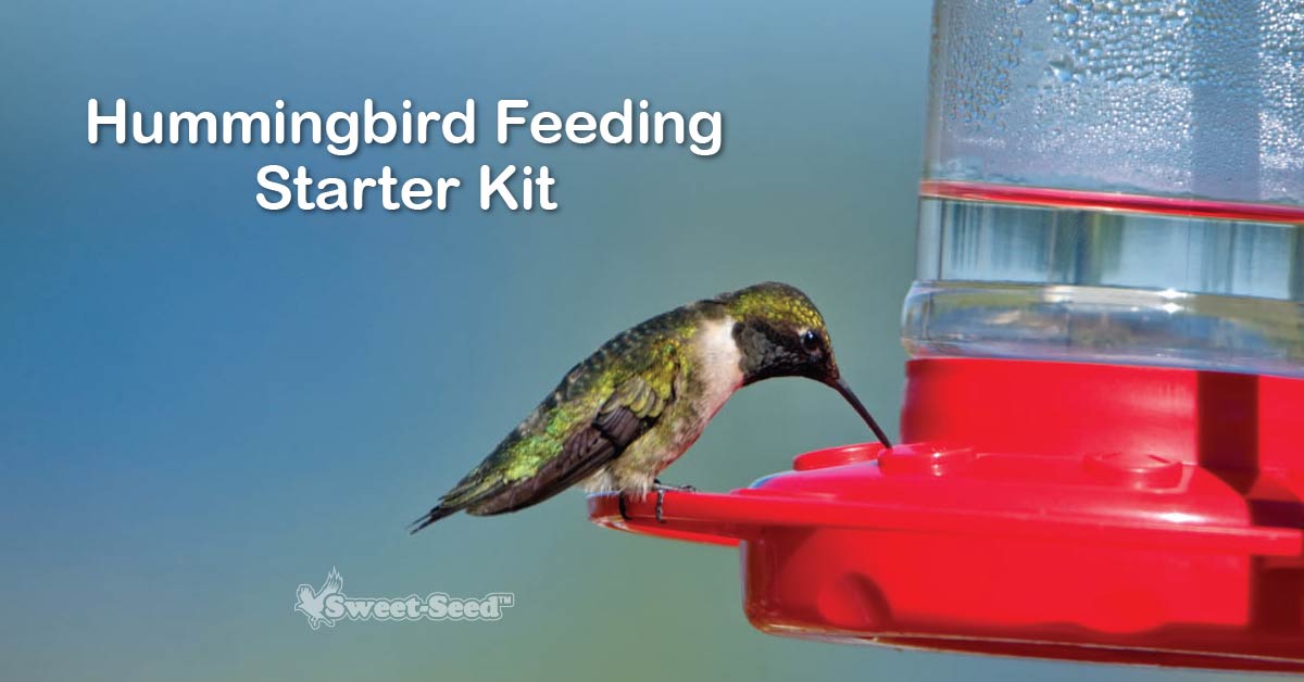 Hummingbird Feeding Starter Kit - Sweet-Seed Micro Batch Bird Feed