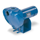 Sta-Rite DS3H Series Centrifugal Pumps 1HP-2-1/2HP