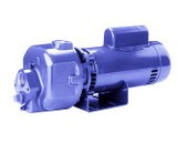 STA-RITE DMC Series Multi-Stage Centrifugal Pump Single or Three Phase ...