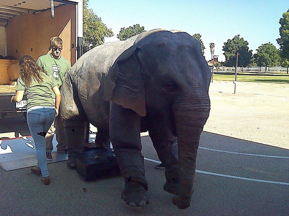 More Scary Terry artistry! - Cowlacious Designs