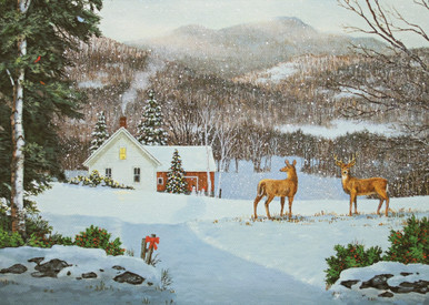 2019 Fred Swan Christmas Cards by Vermont Artist available at Village ...