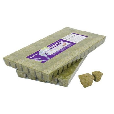 Grodan A-OK 2" x 2" Starter Plug Mat of 50 - New England Hydroponics