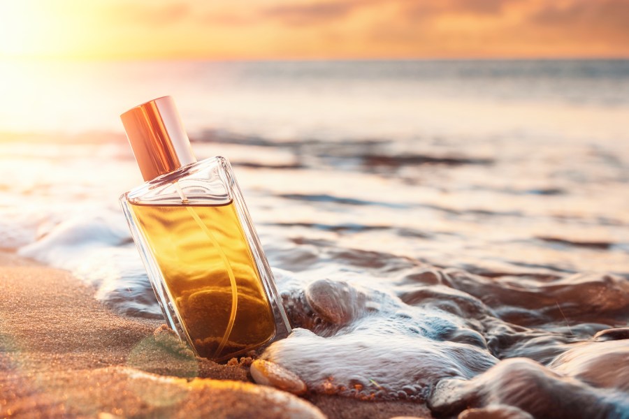 Best Beach Perfume Options to Consider - Surrender to Chance