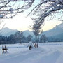 Buy Winter/Snow Sampler - Set of Eight 1/2ml Samples