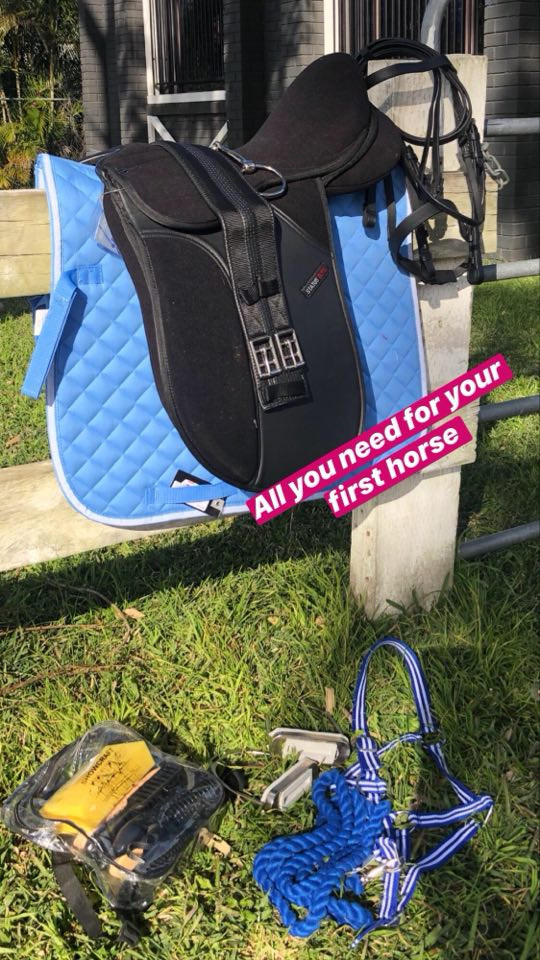 Aussie Saddlery, a unique horse shopping experience