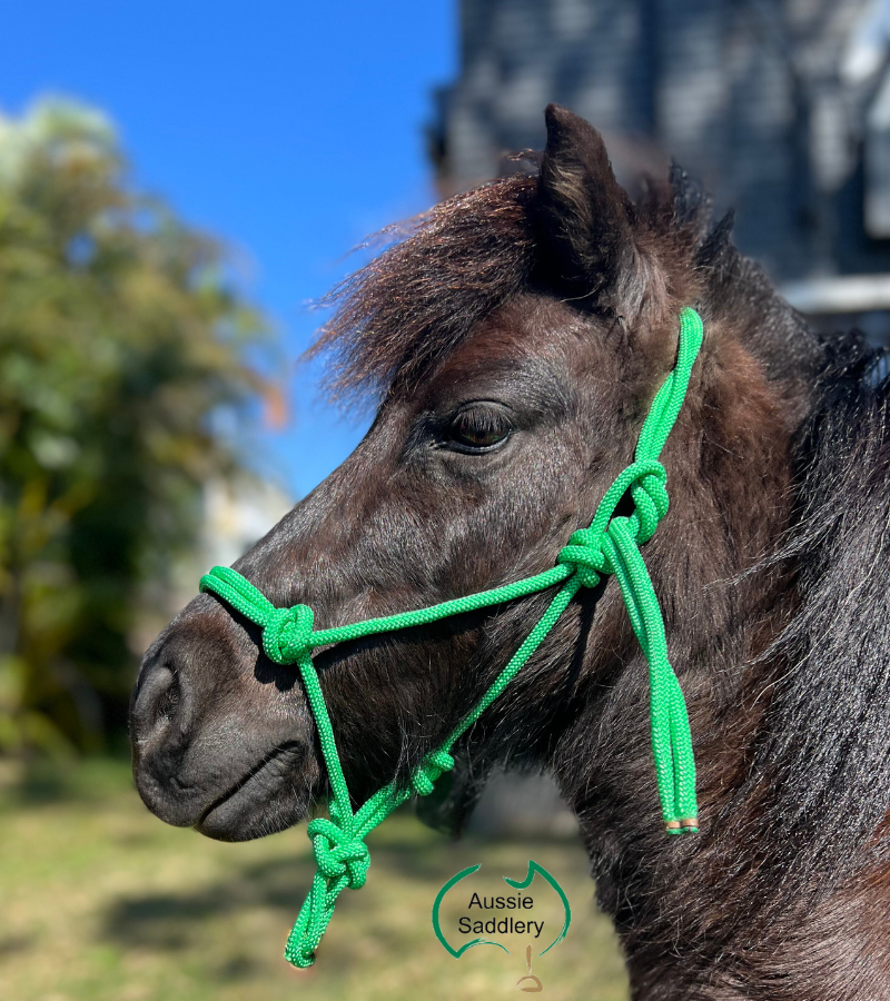Miniature Rope Halter - Aussie Saddlery
