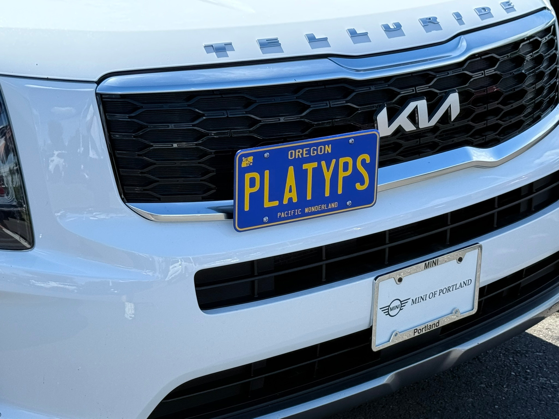 The Platypus License Plate Mount for Kia Telluride 2020 to 2025