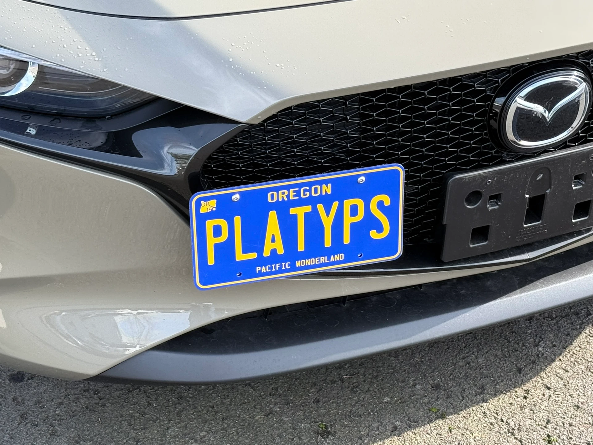 The Platypus License Plate Mount for Mazda 3 4th gen BP 2019 to 2025
