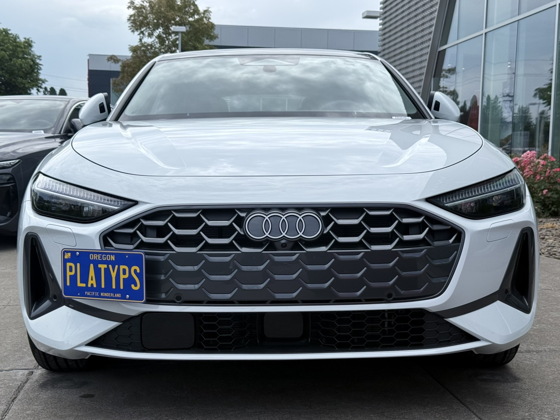 Audi A5 License Plate Bracket | No-Drill Front Plate Holder | CravenSpeed
