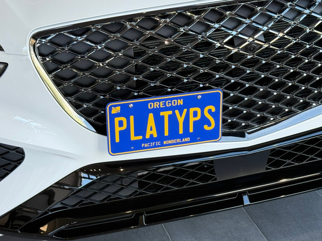 The Platypus License Plate Mount for Genesis GV70 2022 to 2026 2022-2025