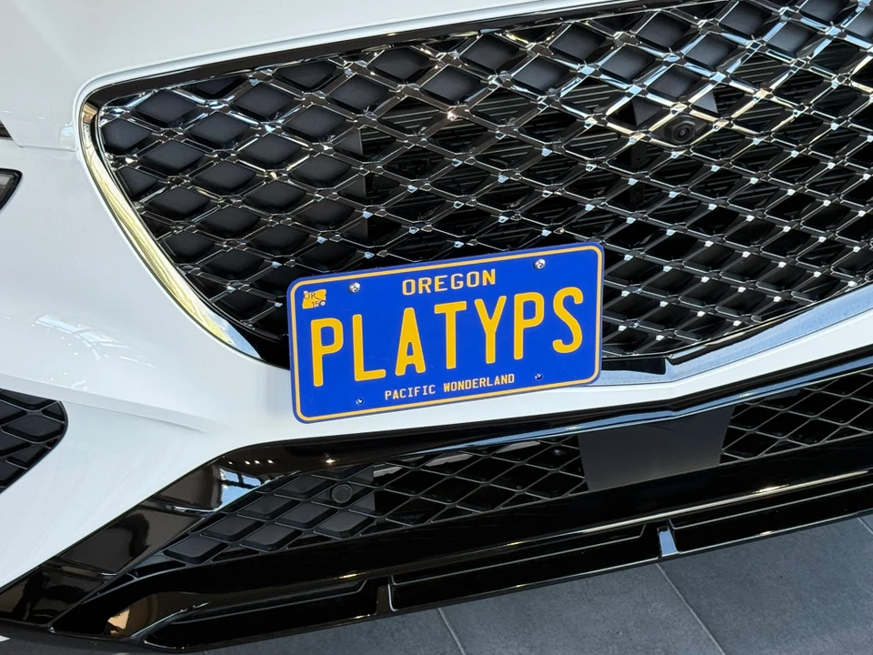 The Platypus License Plate Mount for Genesis GV70 2022 to 2026 2022-2025