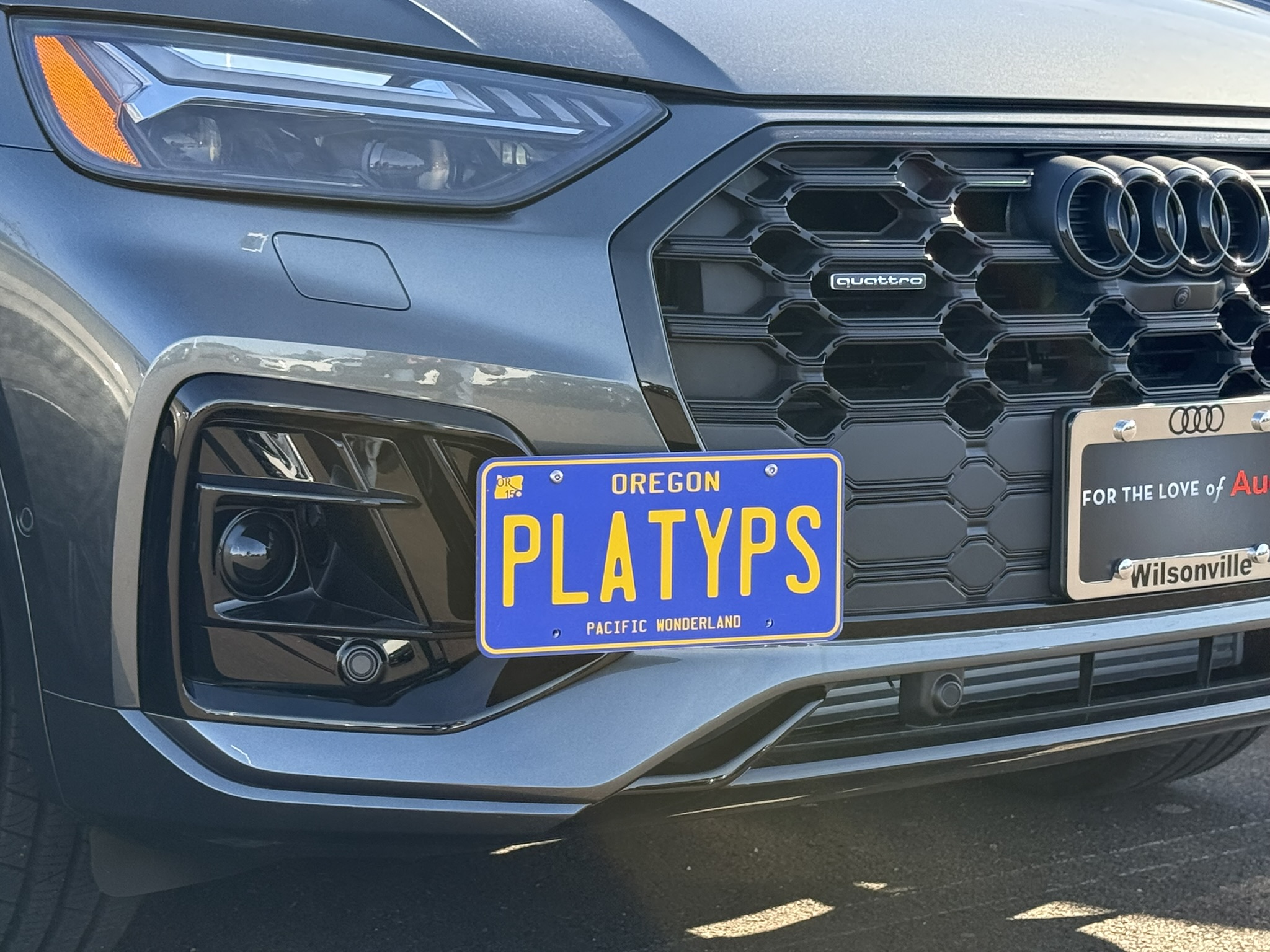The Platypus License Plate Mount for Audi Q5 80A 2018 to 2025