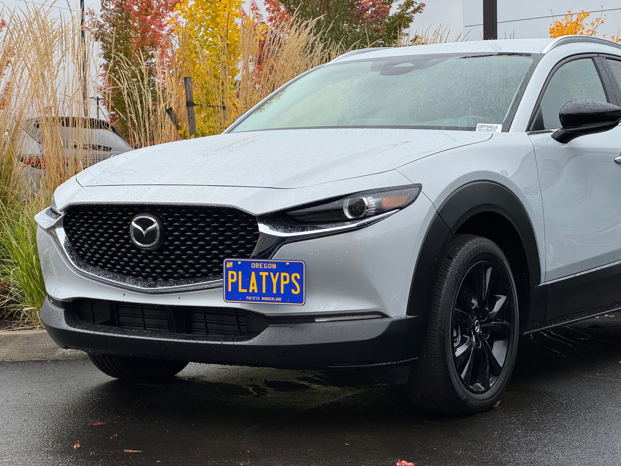The Platypus License Plate Mount for Mazda CX-30 2020 to 2025