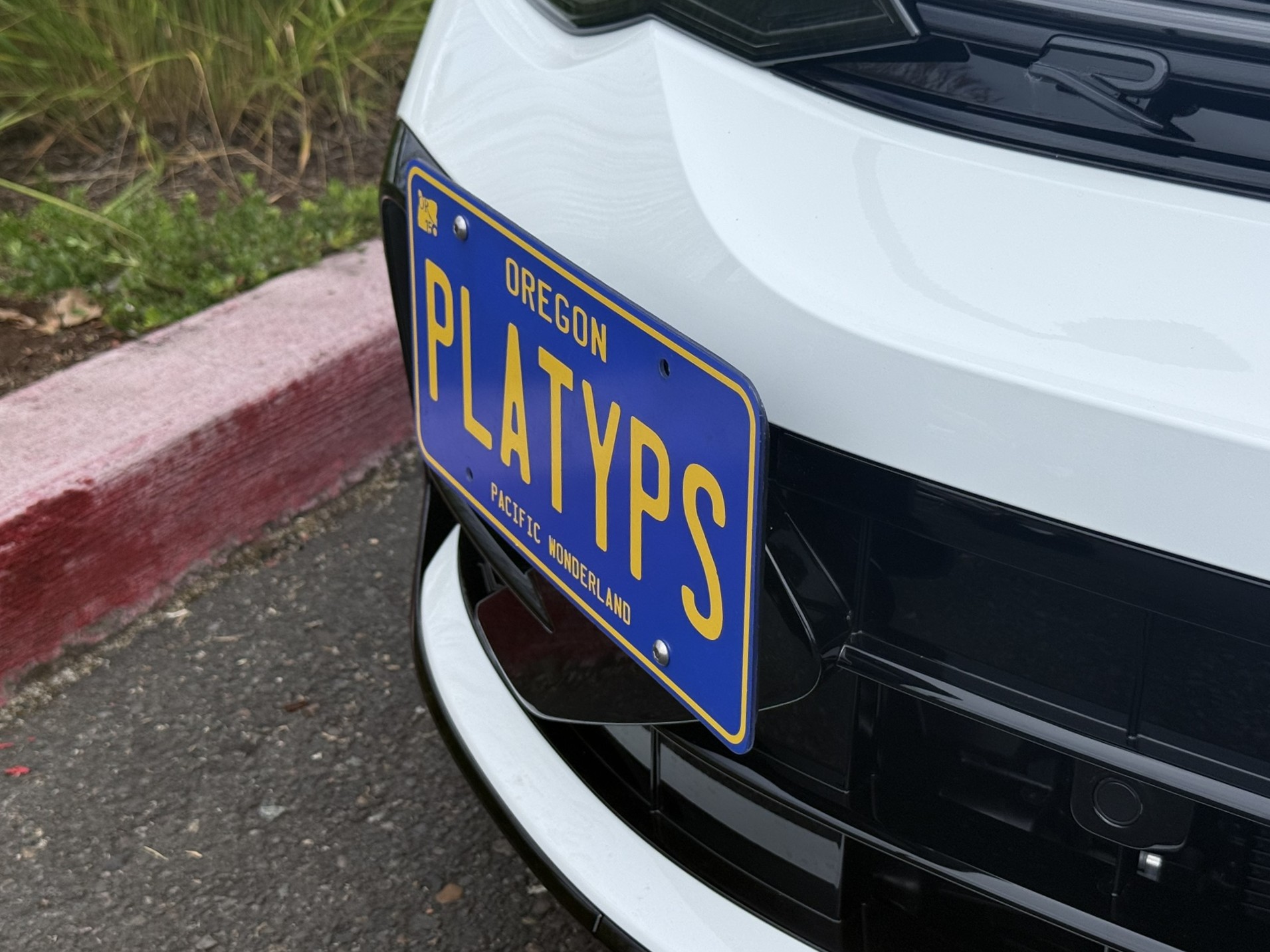 The Platypus License Plate Mount for Volkswagen Golf R Mk8/Mk8.5 2022 ...