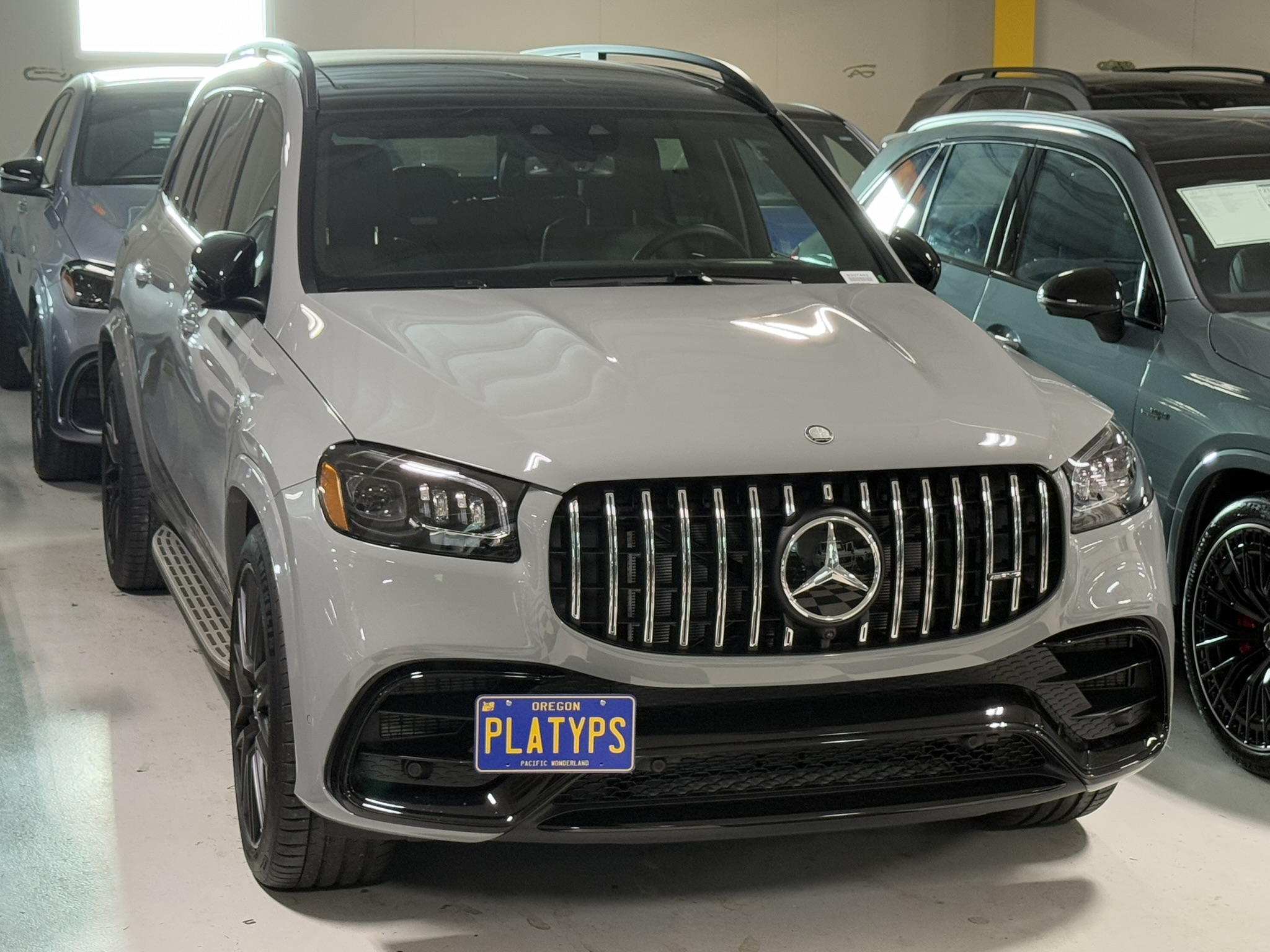 The Platypus License Plate Mount for Mercedes-Benz GLS-Class 3rd gen ...
