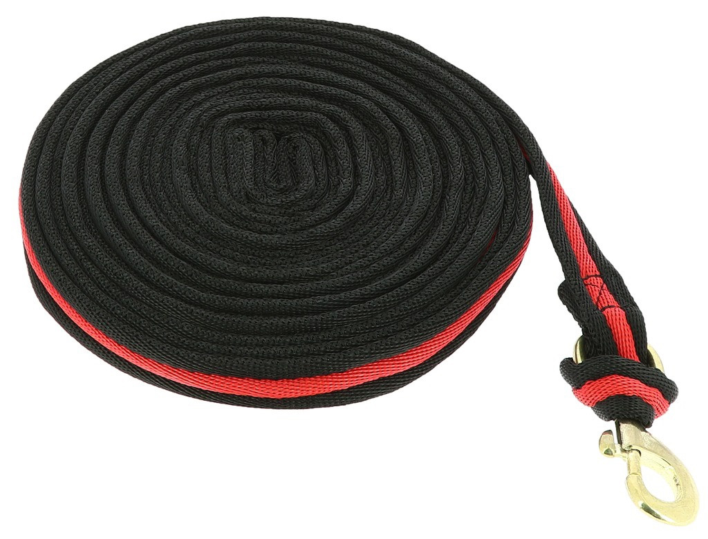 Norton Padded lunge line - Equestrian Fashion Asia Pte Ltd