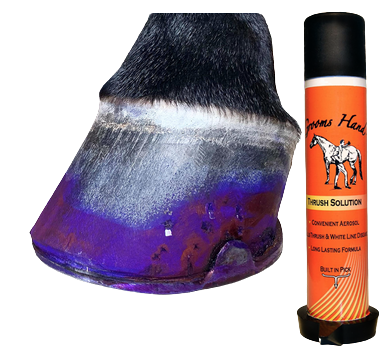 Groom's Hand Thrush Solution - Equestrian Fashion Asia Pte Ltd