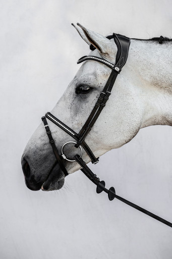 PS of Sweden Amsterdam Bridle