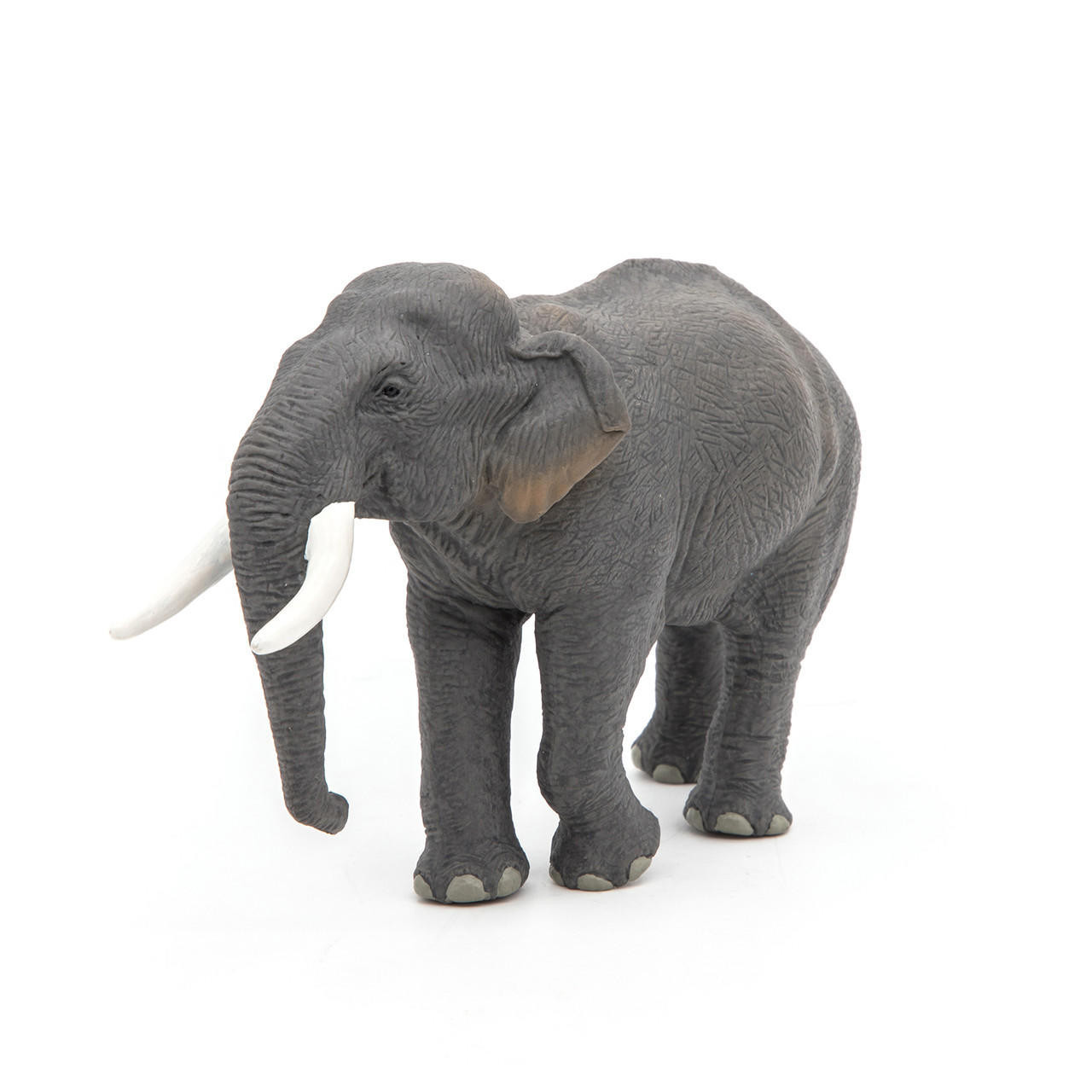 Papo Toys Asian Elephant - Wonderland Models | P50131 | £6.50