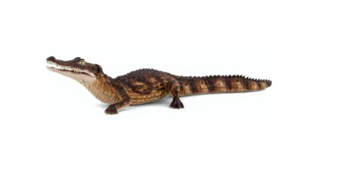 Papo Toys Cayman - Wonderland Models | P50311 | £5.50