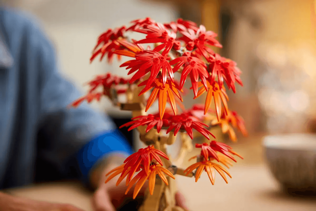 Lego Botanicals Japanese Red Maple Bonsai Tree - Wonderland Models ...