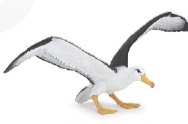 Papo Toys Albatross - Wonderland Models | P56038 | £3.25