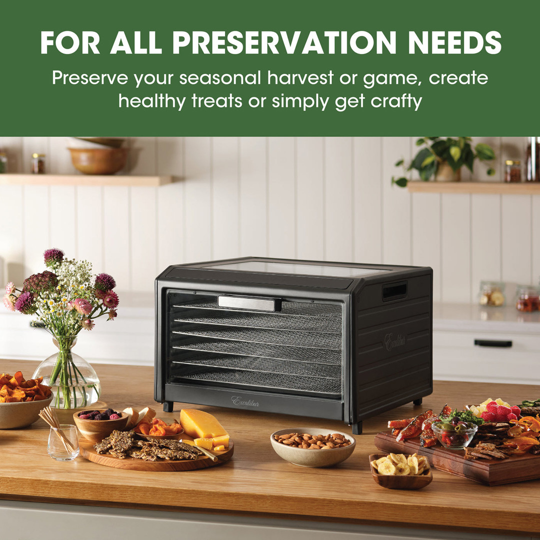 Excalibur 6 Tray Performance Digital Dehydrator in Stainless Steel ...