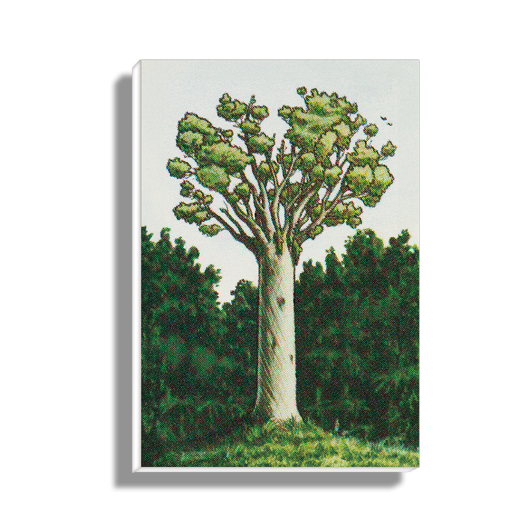 Native Trees Kauri Notepad - NZ Post Collectables