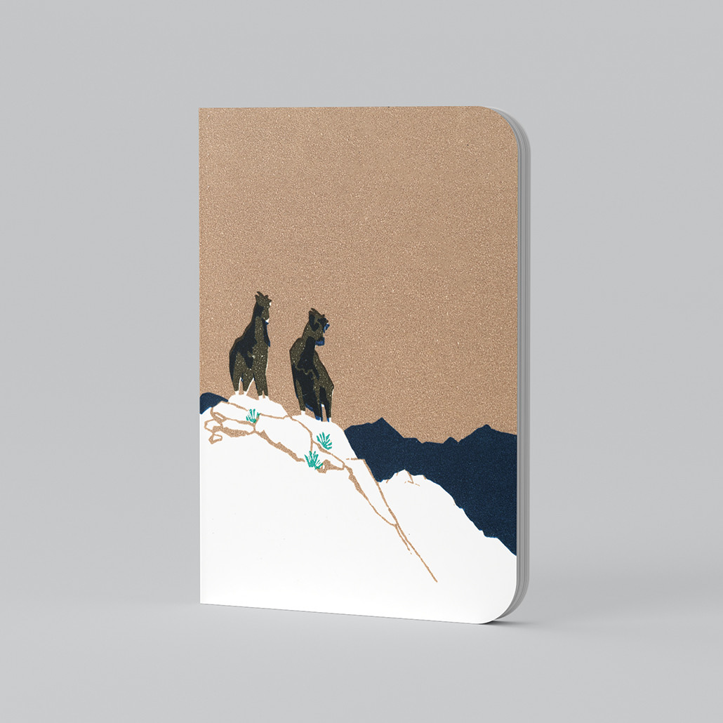 Mark Cleverley Mount Cook National Park Notebook - NZ Post Collectables