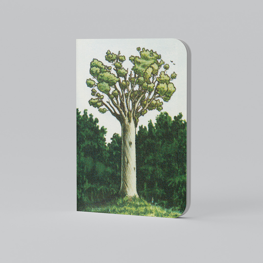 Native Trees Kauri Notebook - NZ Post Collectables