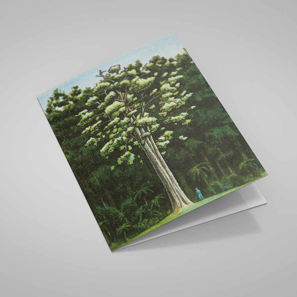 Native Trees Greeting Card Set - NZ Post Collectables