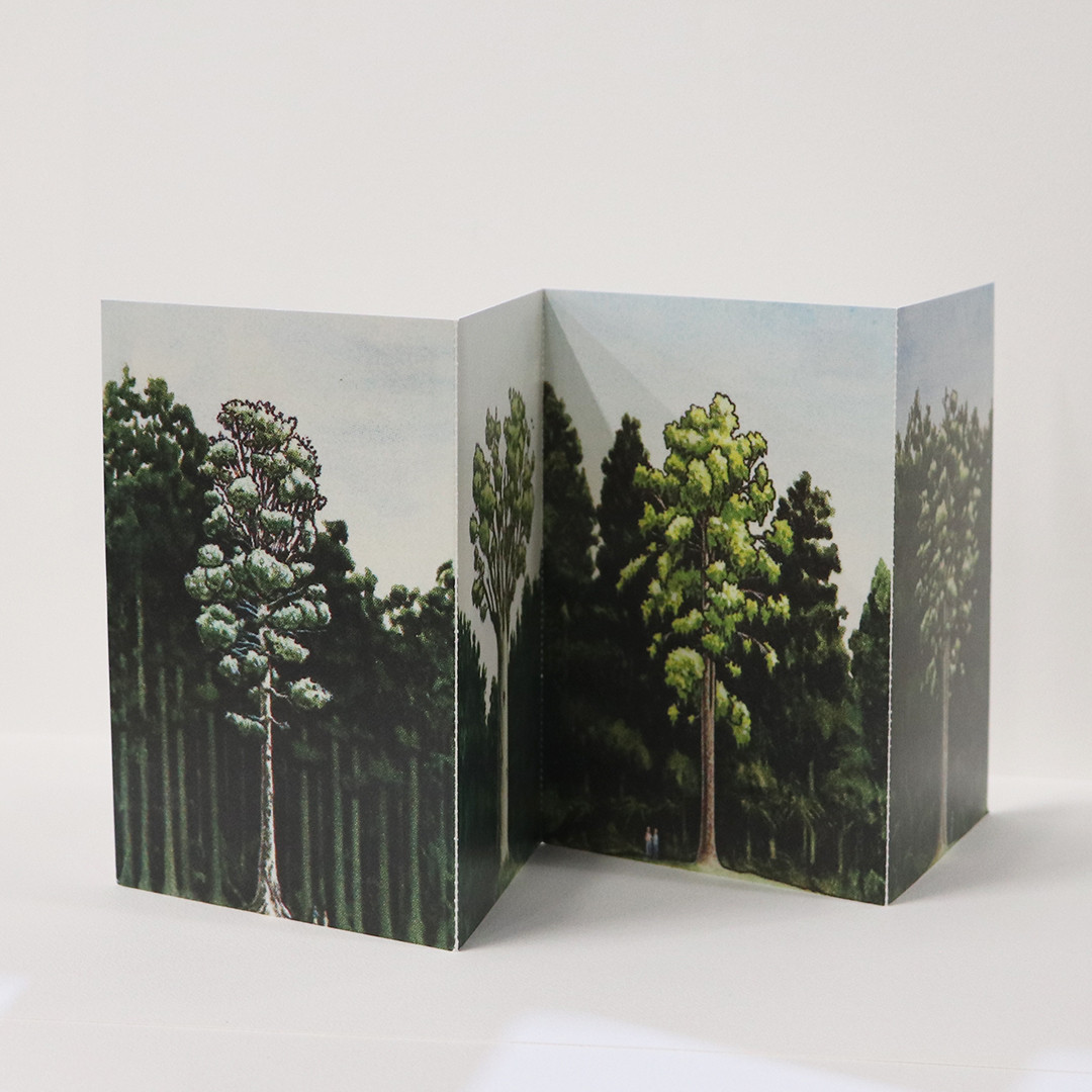 Native Trees Stamps Postcard Set - NZ Post Collectables